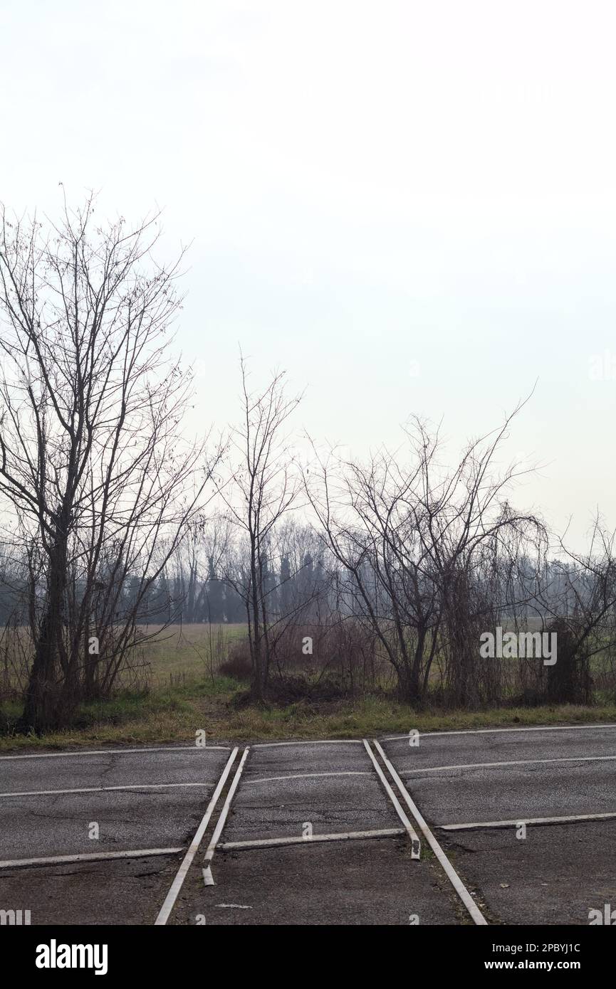 Tracks of an abandoned railroad crossing a road in the italian ...