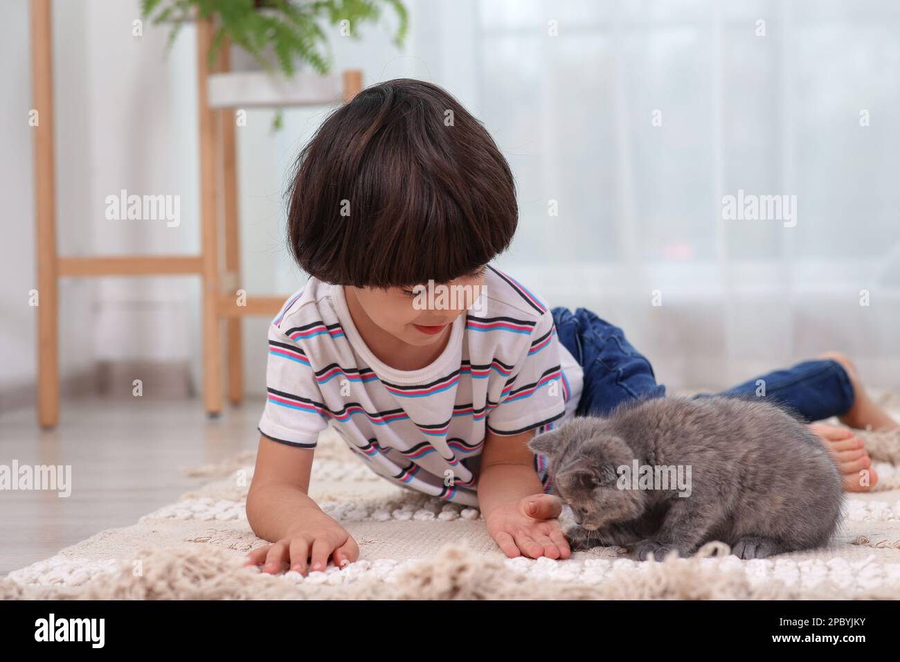 Cute little boy with kitten on floor at home. Childhood pet Stock Photo ...