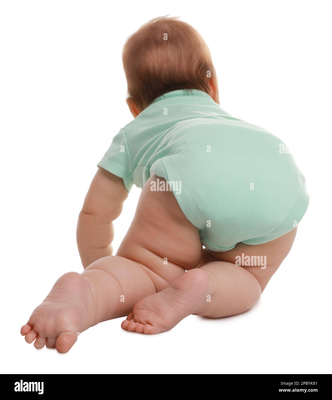 Cute little baby crawling on white background, back view Stock Photo ...