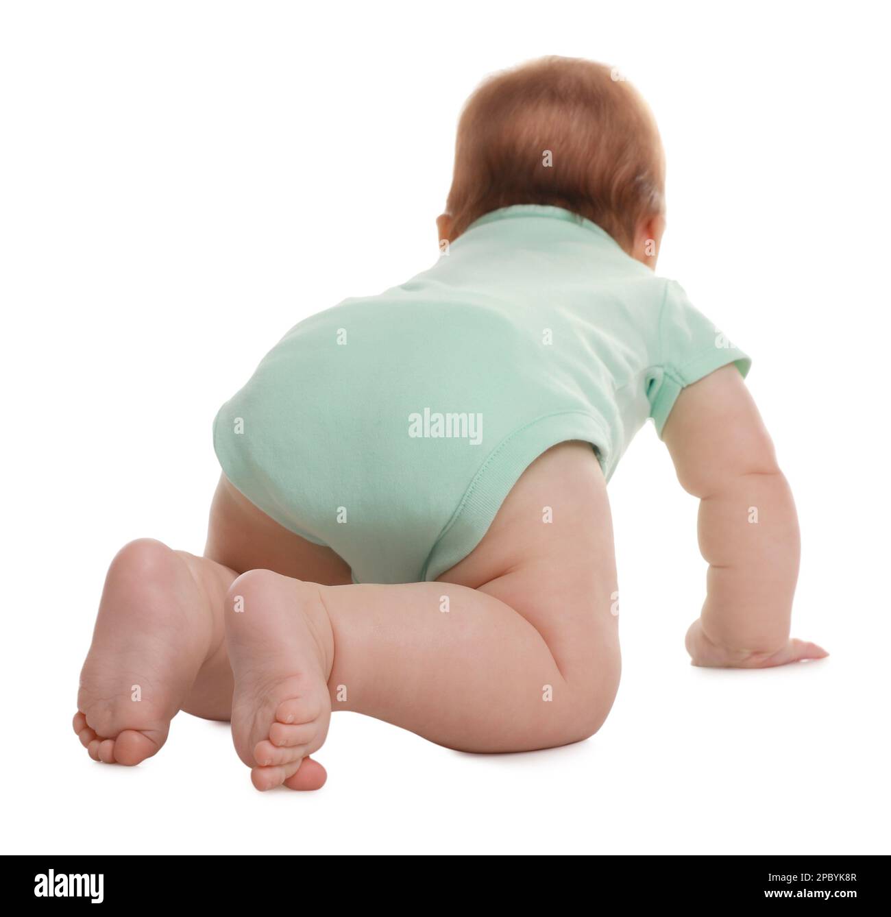 Cute little baby crawling on white background, back view Stock Photo ...