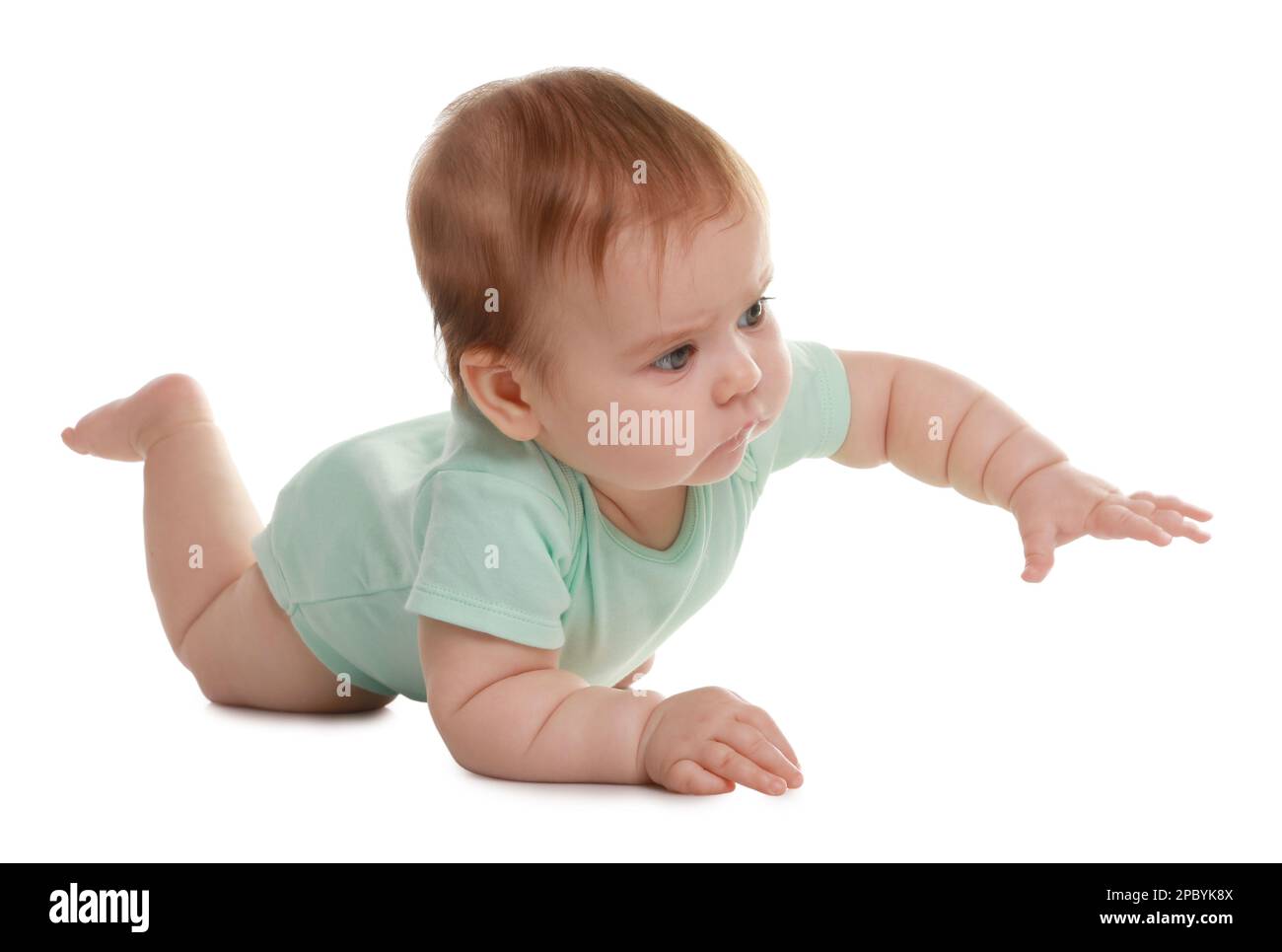 Cute little baby crawling on white background Stock Photo - Alamy