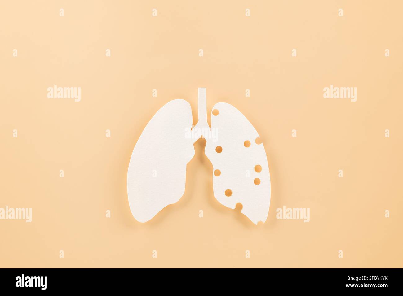Top view Lungs paper decorative symbol Stock Photo - Alamy