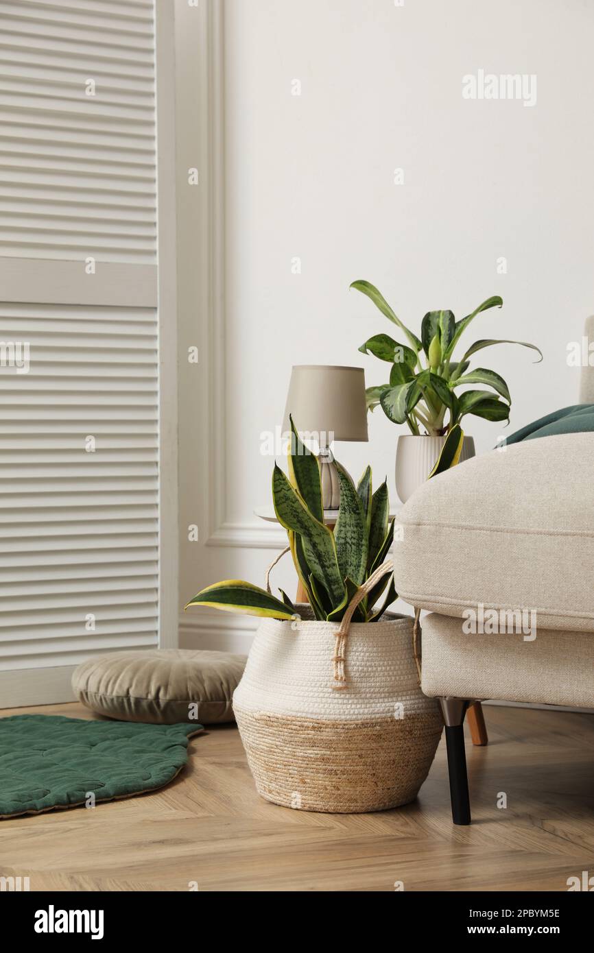 Stylish room with folding screen and floral decor. Interior design ...