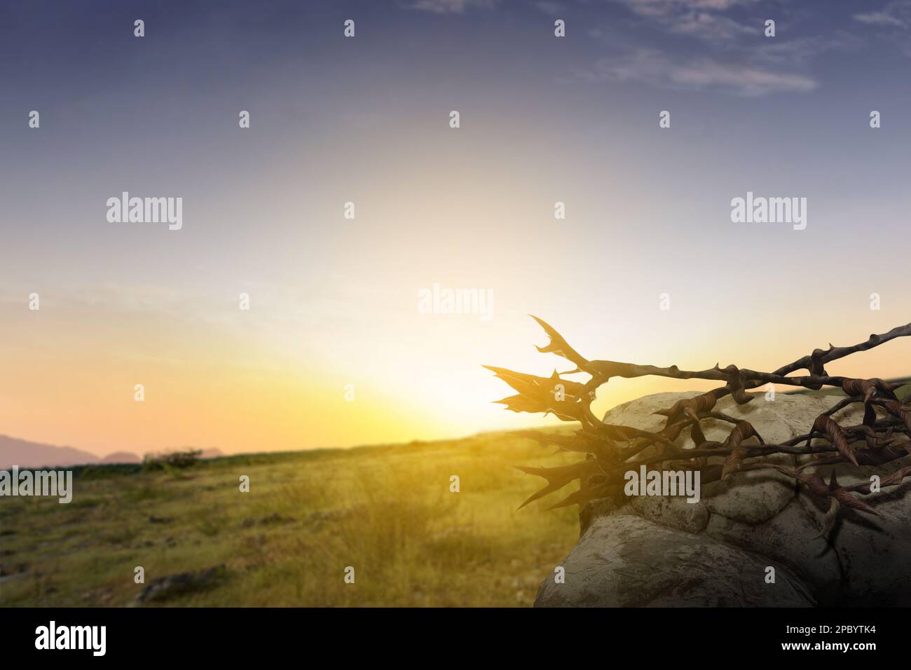 Crown of thorns on the field with sunset sky background Stock Photo - Alamy