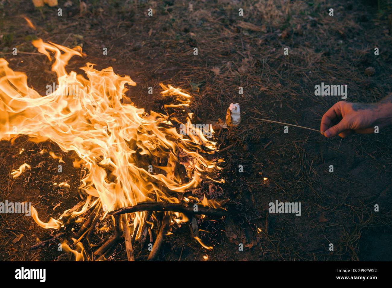 Picnic couple tourism bonfire concept Stock Photo - Alamy