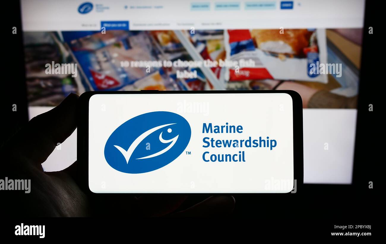 Msc logo hi-res stock photography and images - Alamy