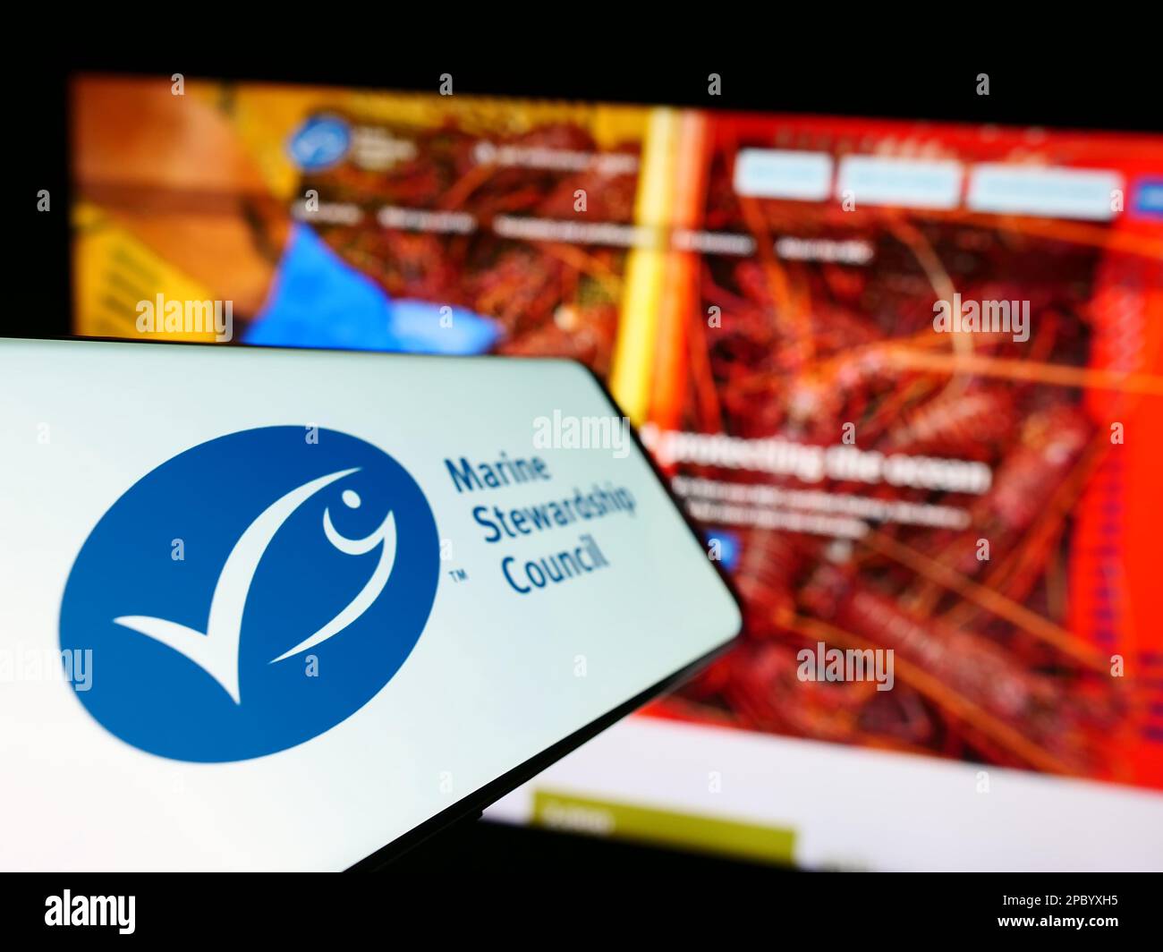 Msc logo hi-res stock photography and images - Alamy