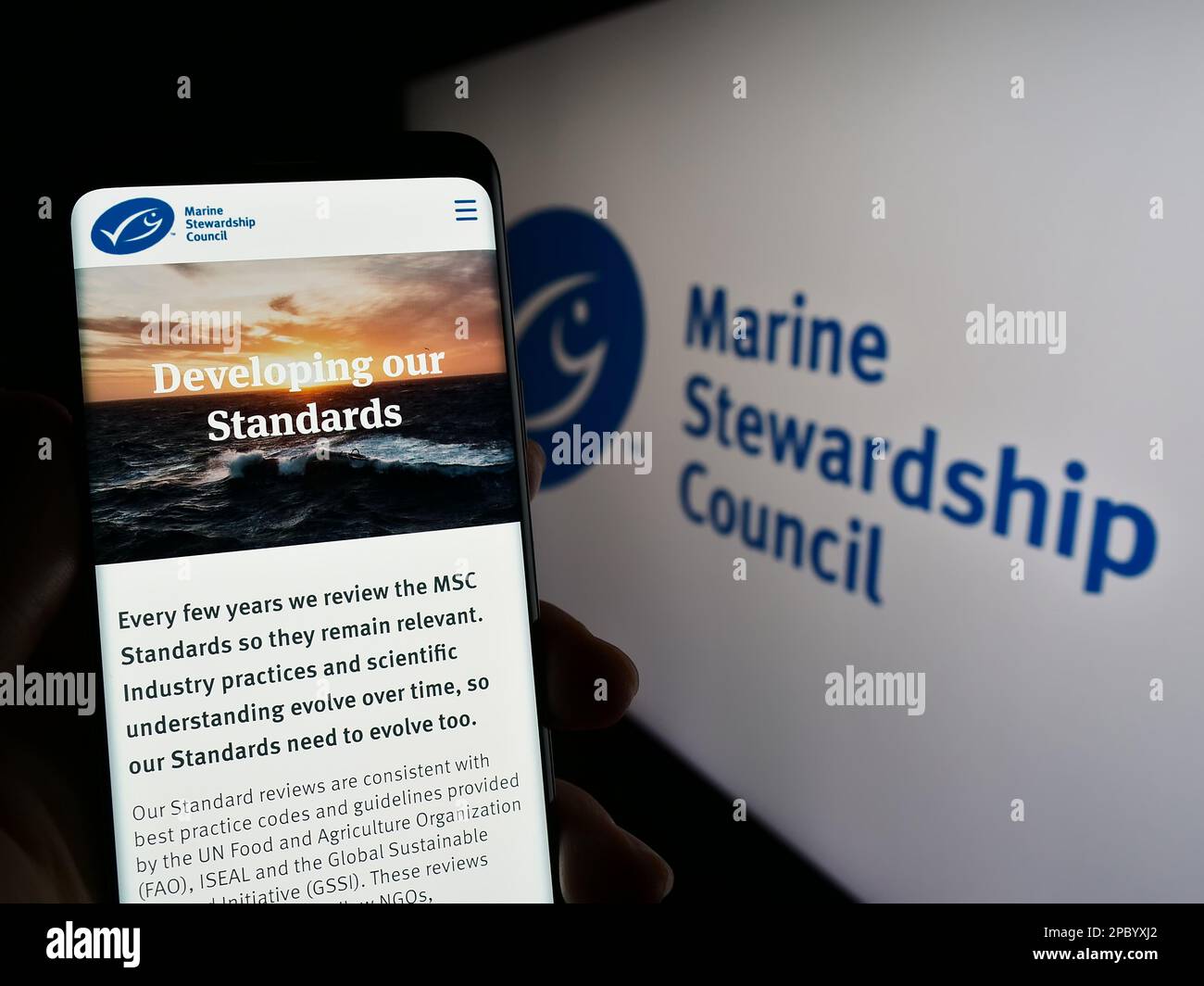 Msc logo hi-res stock photography and images - Alamy