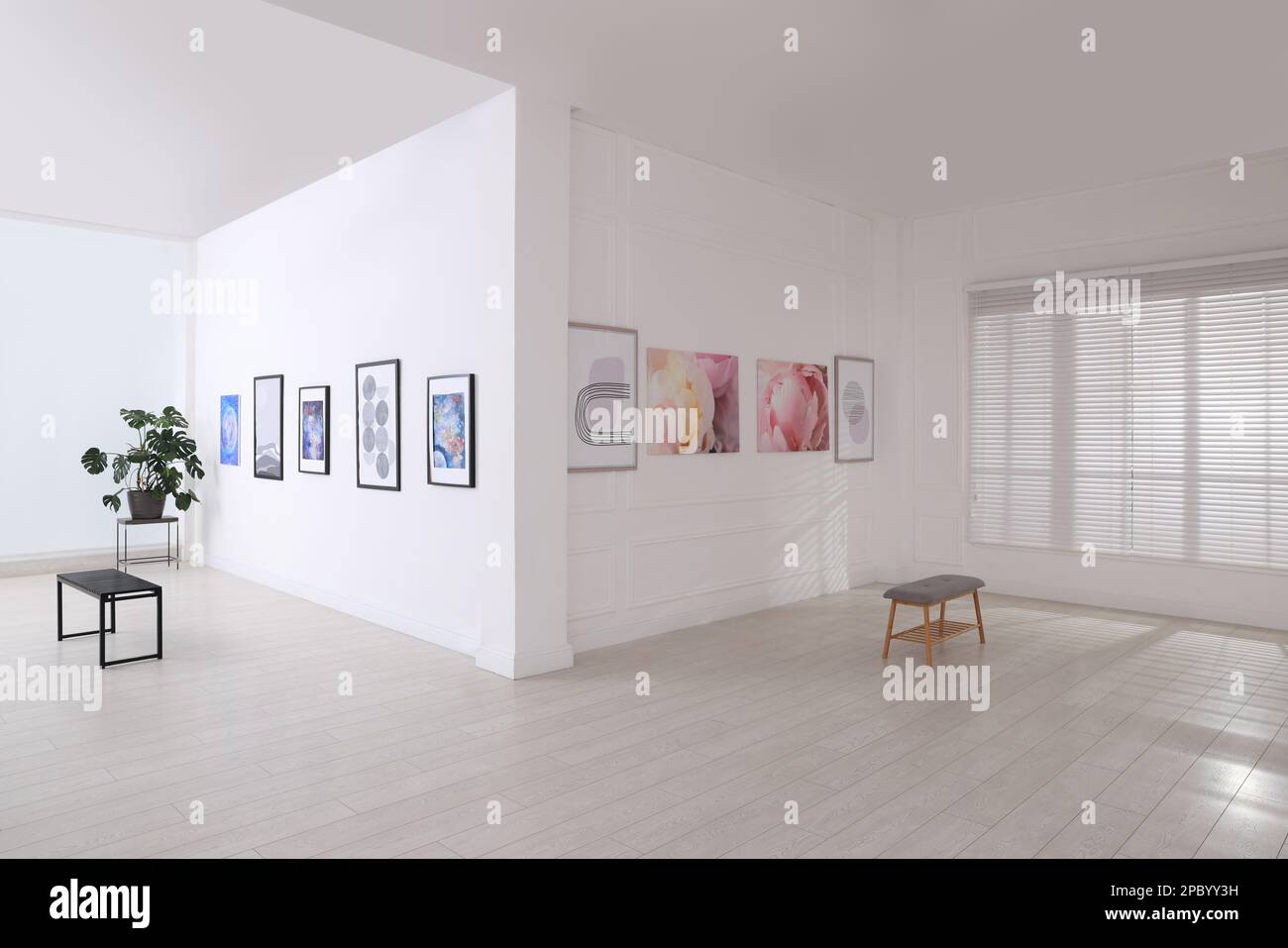 Empty museum wall with bench hi-res stock photography and images - Alamy