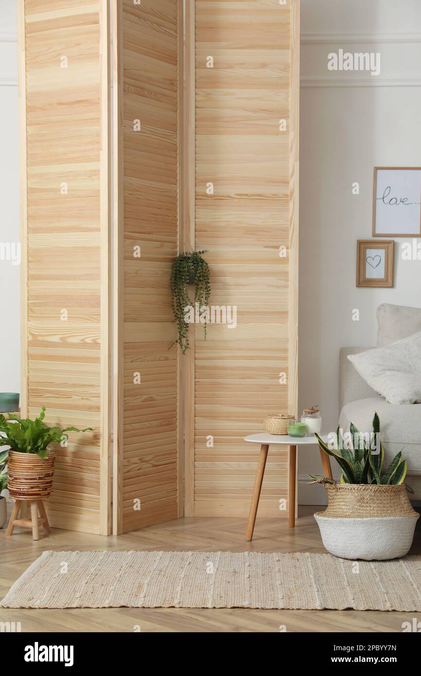 Folding screen and beautiful houseplants near white wall in room ...