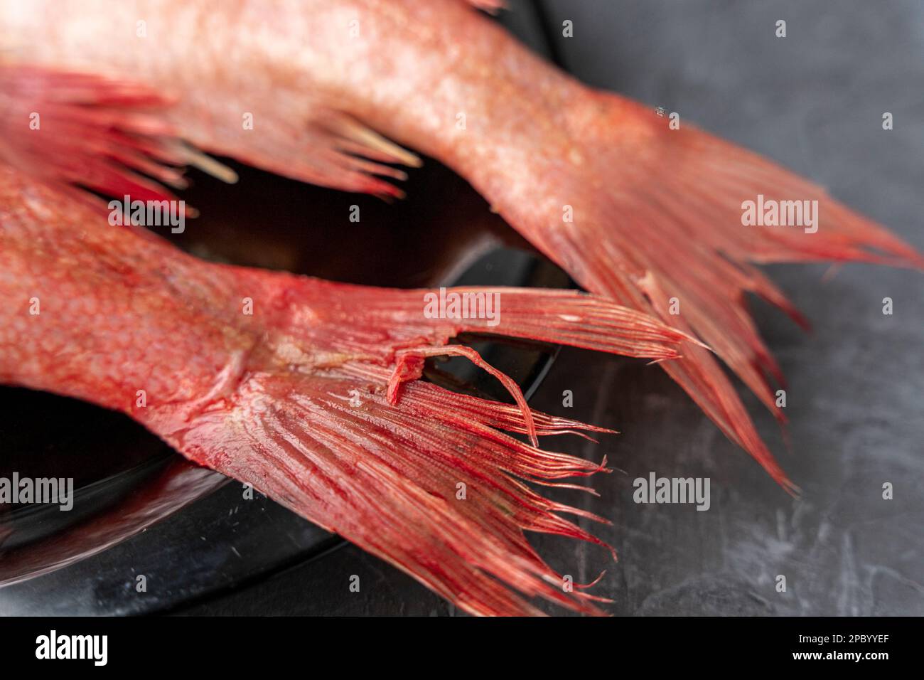 Two frozen headless carcasses of red sea bass Stock Photo - Alamy