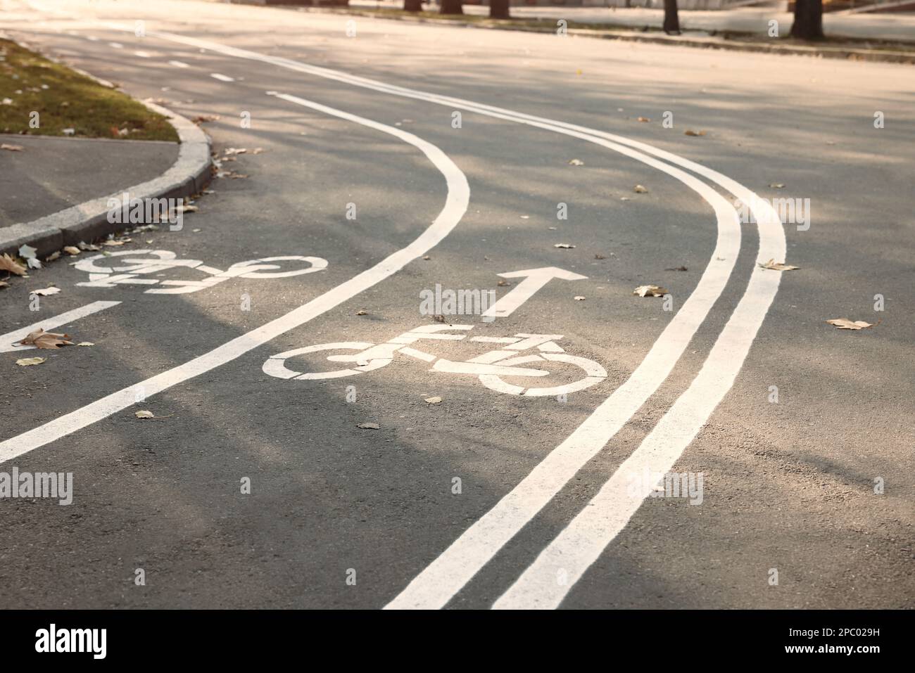 Two way bicycle lane with white signs on asphalt Stock Photo - Alamy