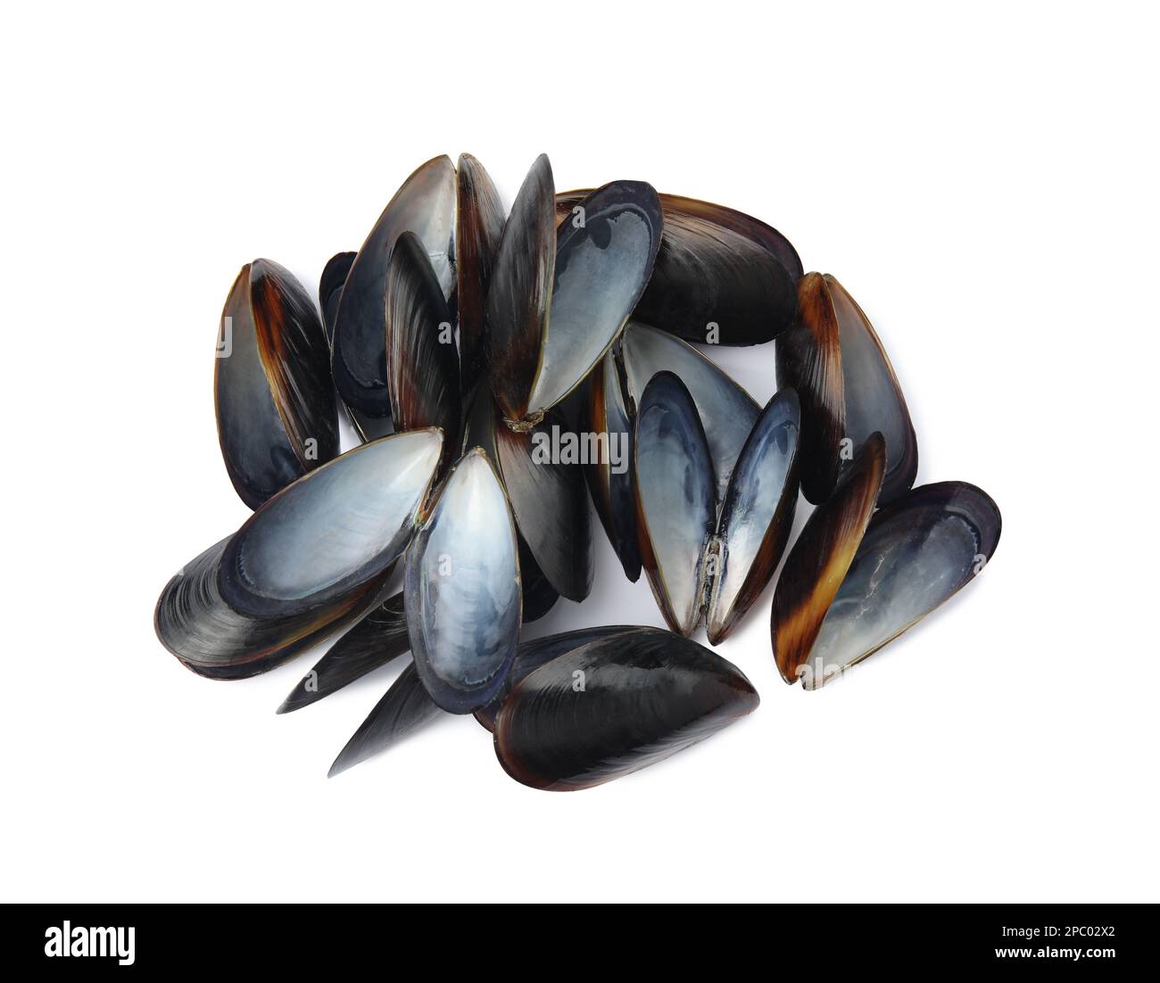 Open empty mussel shells on white background, top view Stock Photo - Alamy