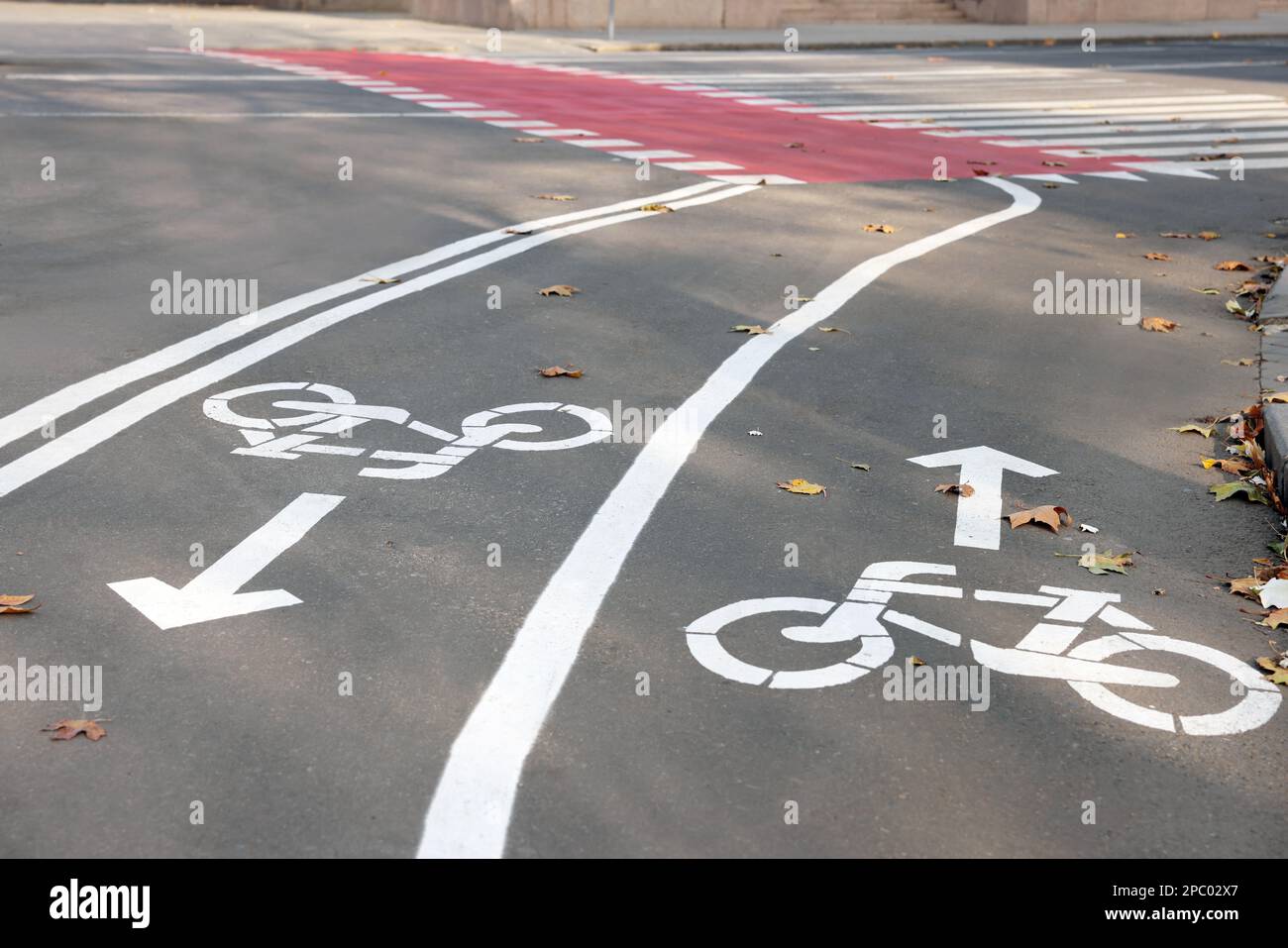 Two way bicycle lane with white signs on asphalt Stock Photo - Alamy