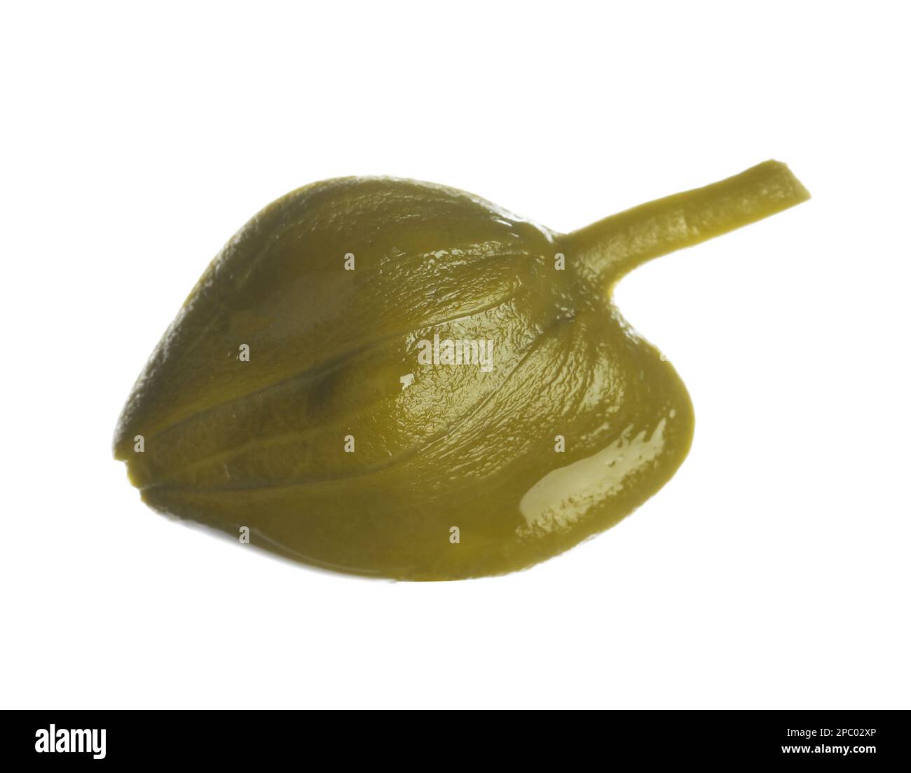 One delicious pickled caper isolated on white Stock Photo - Alamy