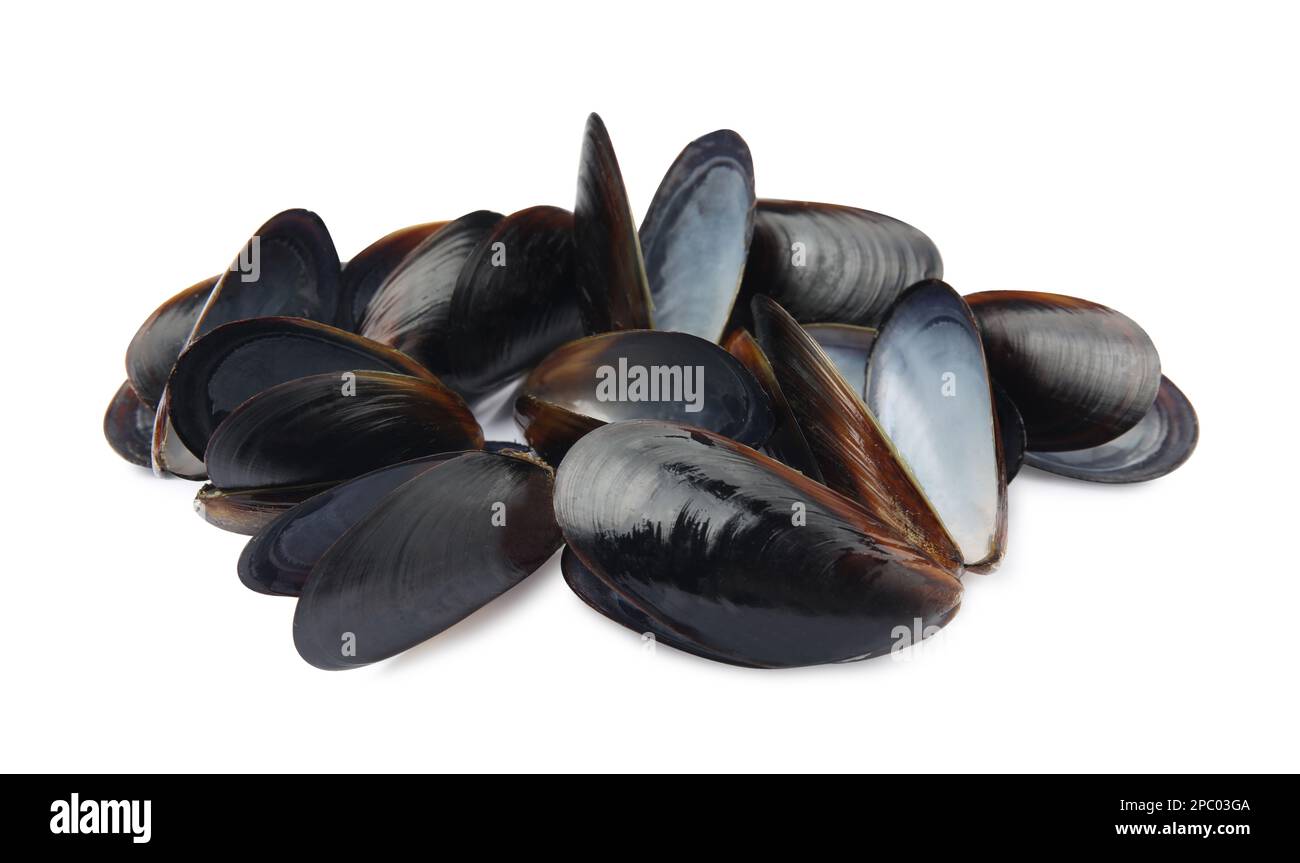 Open empty mussel shells on white background Stock Photo - Alamy
