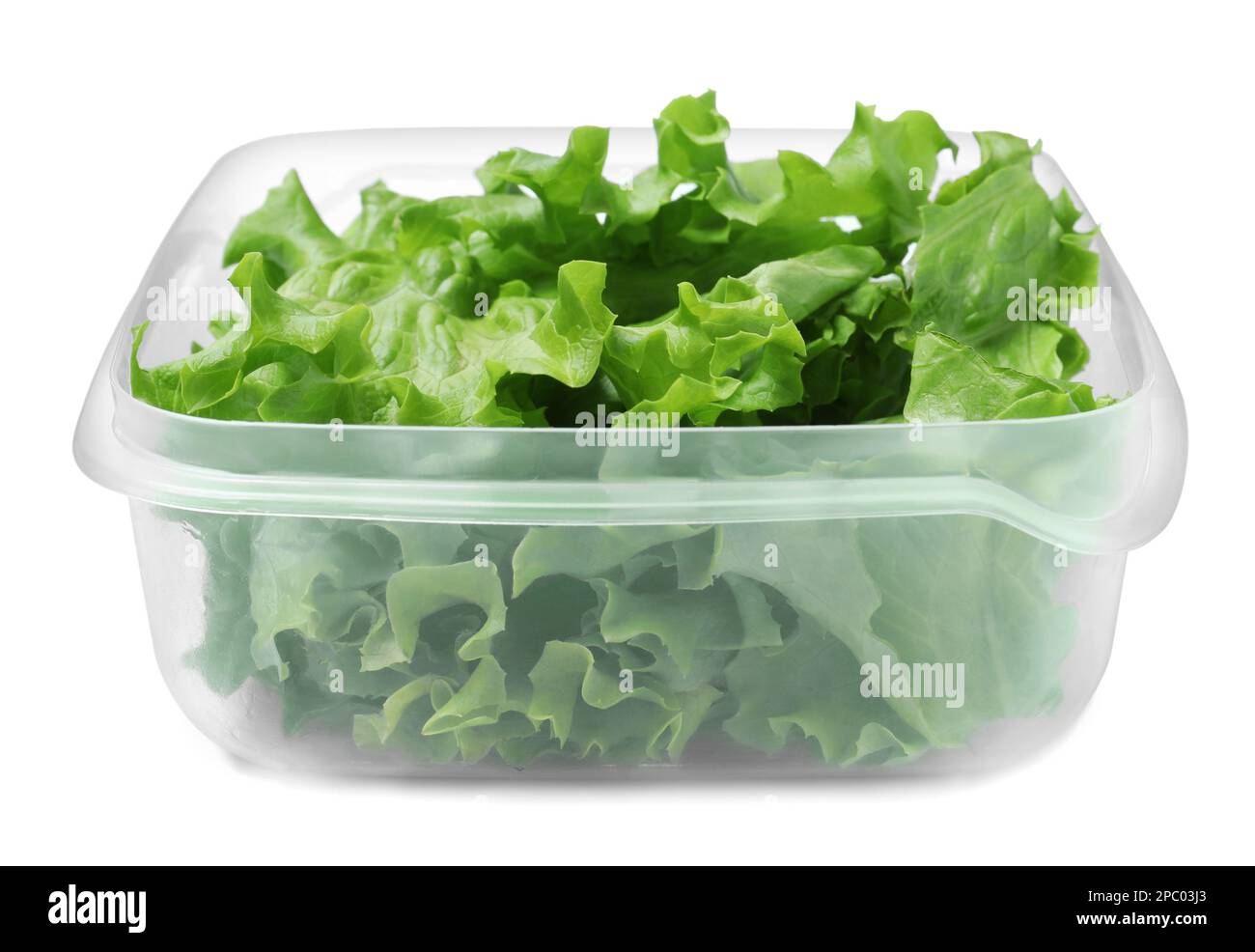 Lettuce in container Cut Out Stock Images & Pictures - Alamy
