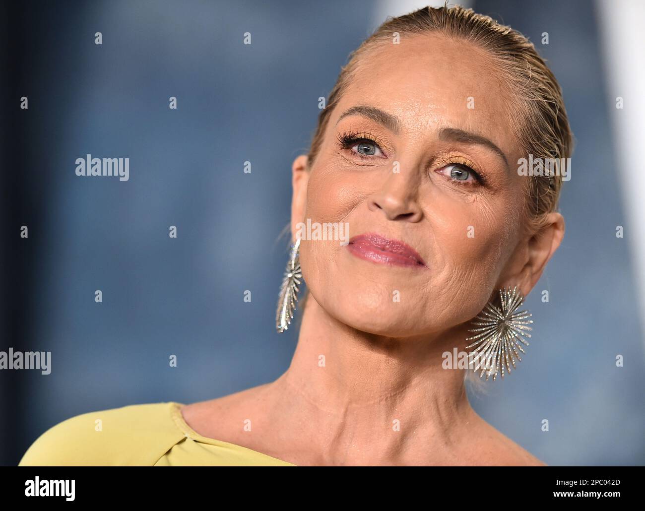 Los Angeles, USA. 13th Mar, 2023. Sharon Stone arriving to the Vanity ...