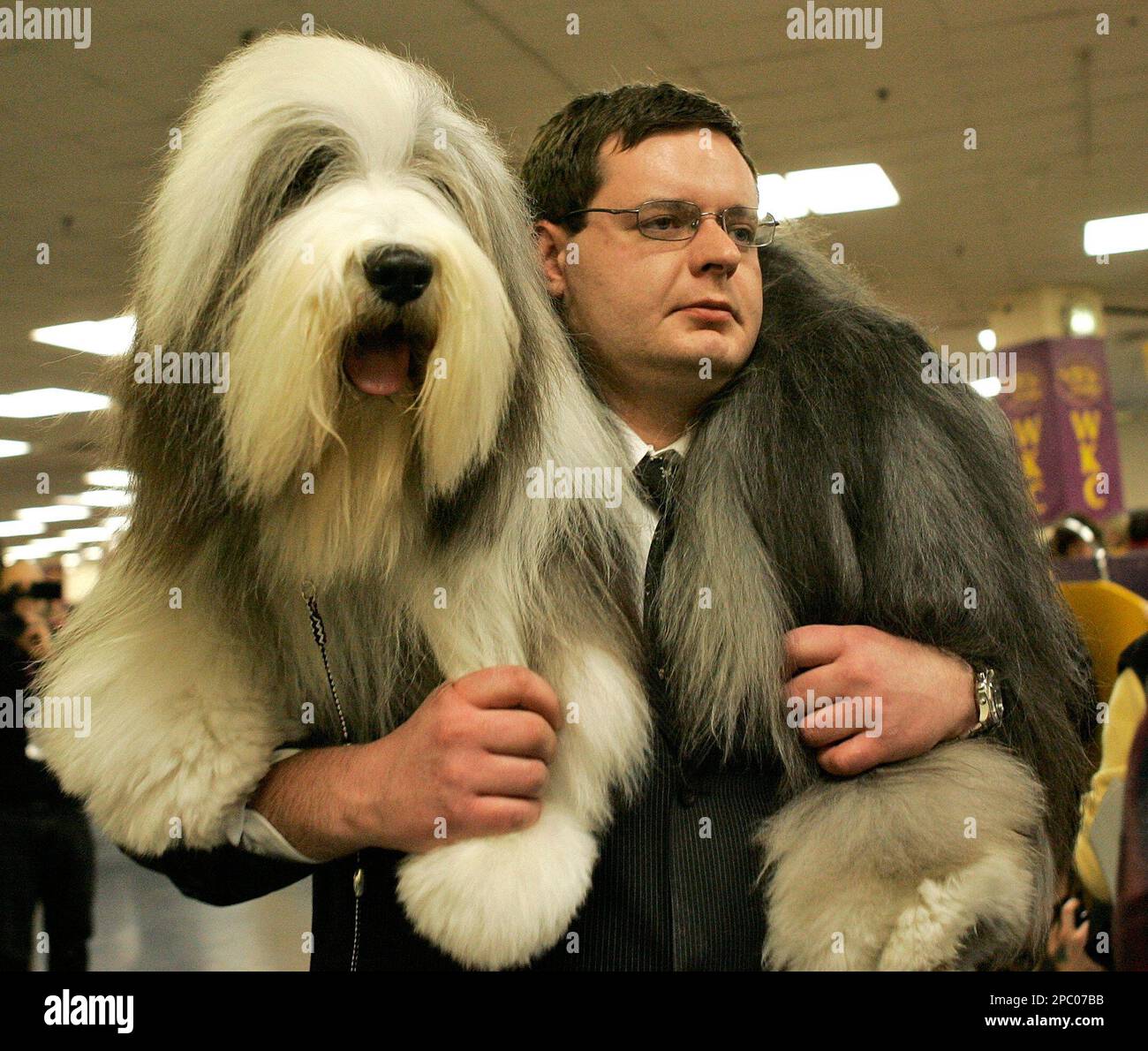 Brian Kirk, a dog handler, holds "Bailey," a bearded collie who won ...