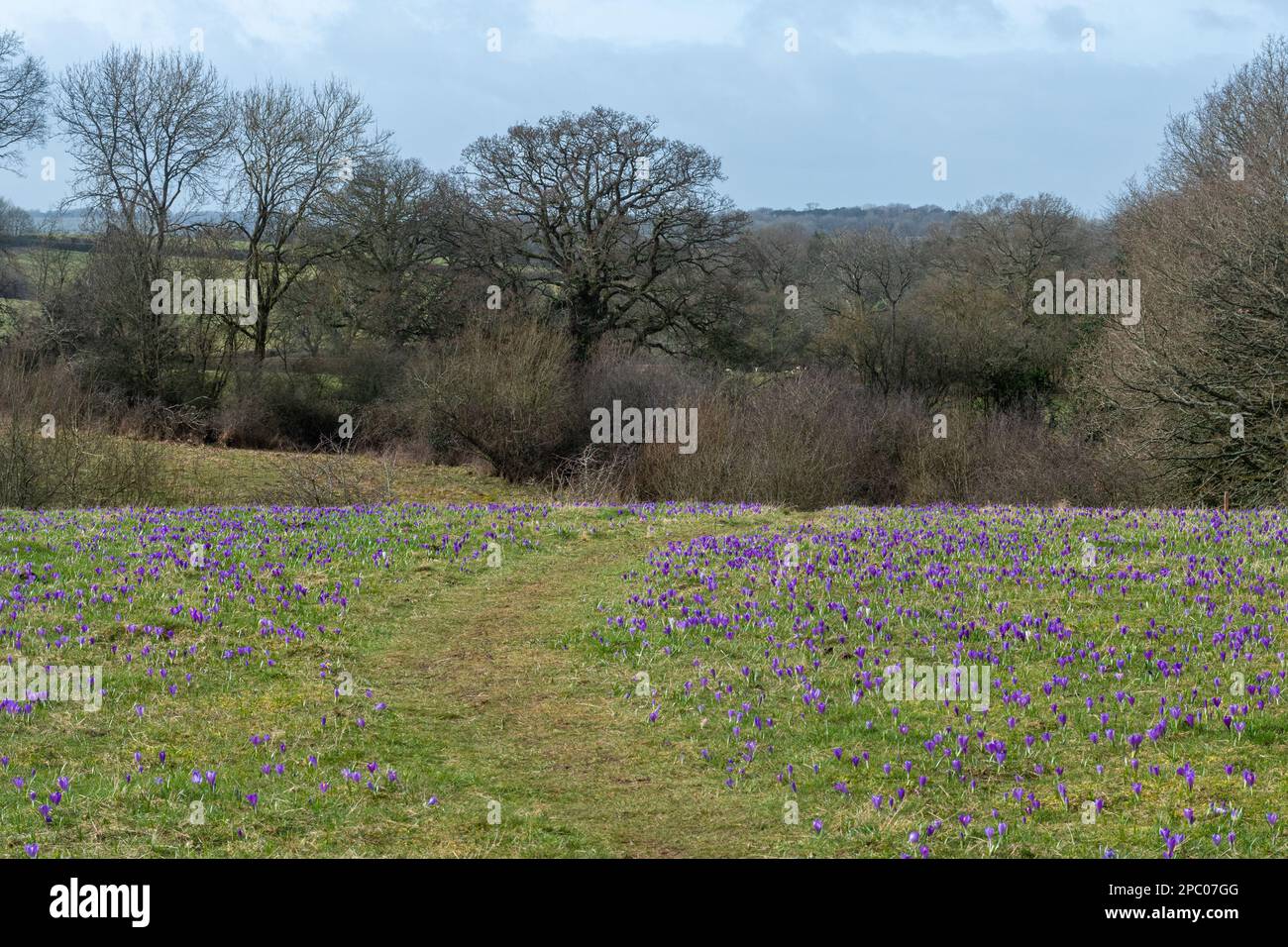 West march hi-res stock photography and images - Alamy