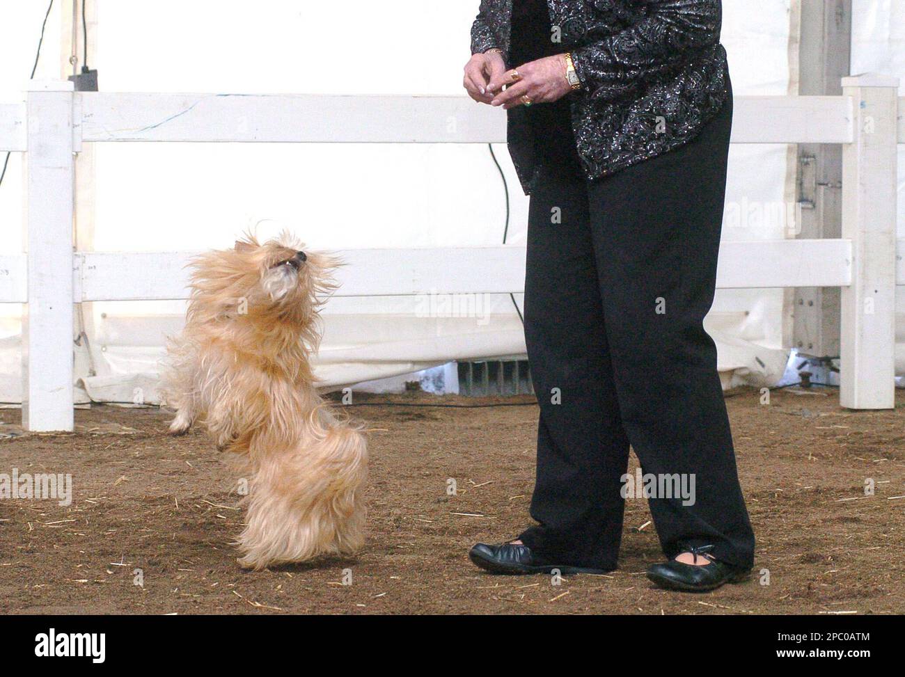 ** FOR USE WITH AP WEEKLY FEATURES ** Sharron Moore, right, and her dog ...