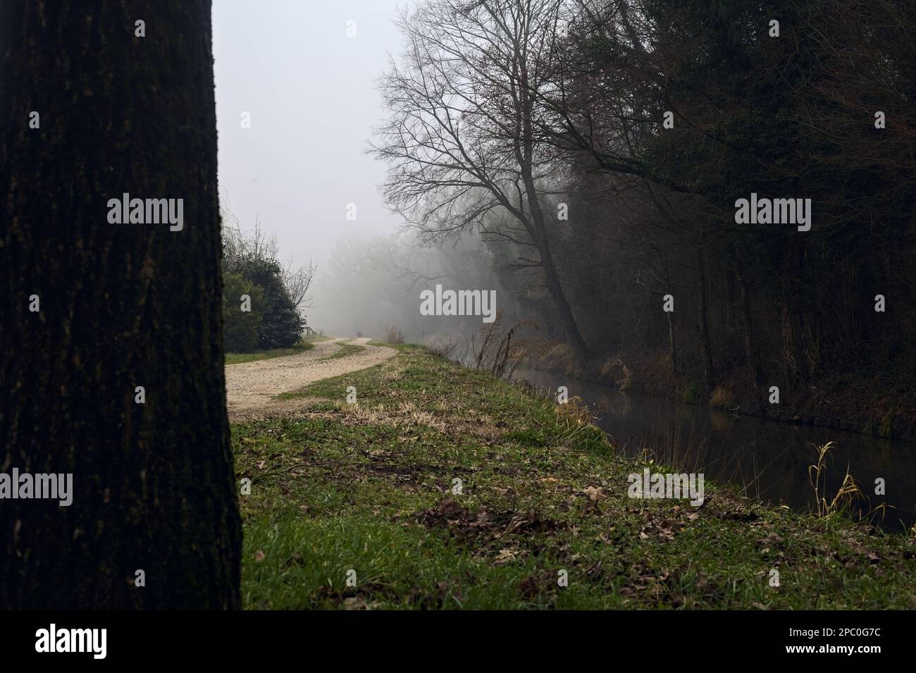Stream of water that borders a forest next to a dirt path on a foggy ...