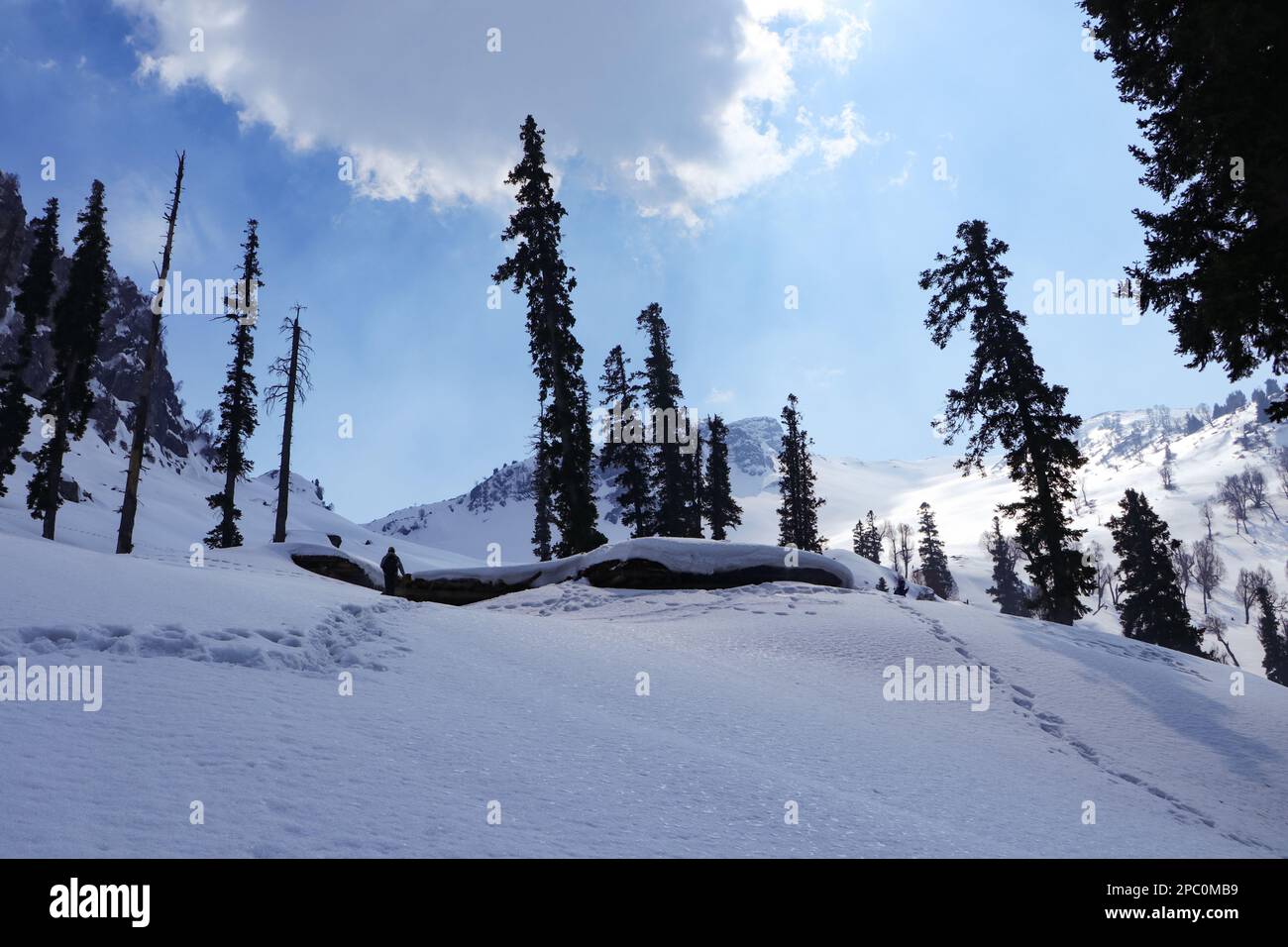 March 13, 2023, Srinagar, Jammu and Kashmir, India: A nature enthusiast ...