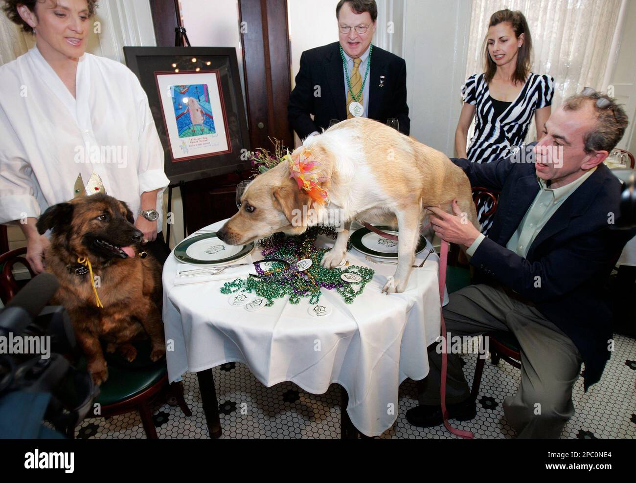 Queen Biscuit bolts across the table to greet King Rockafella at New ...