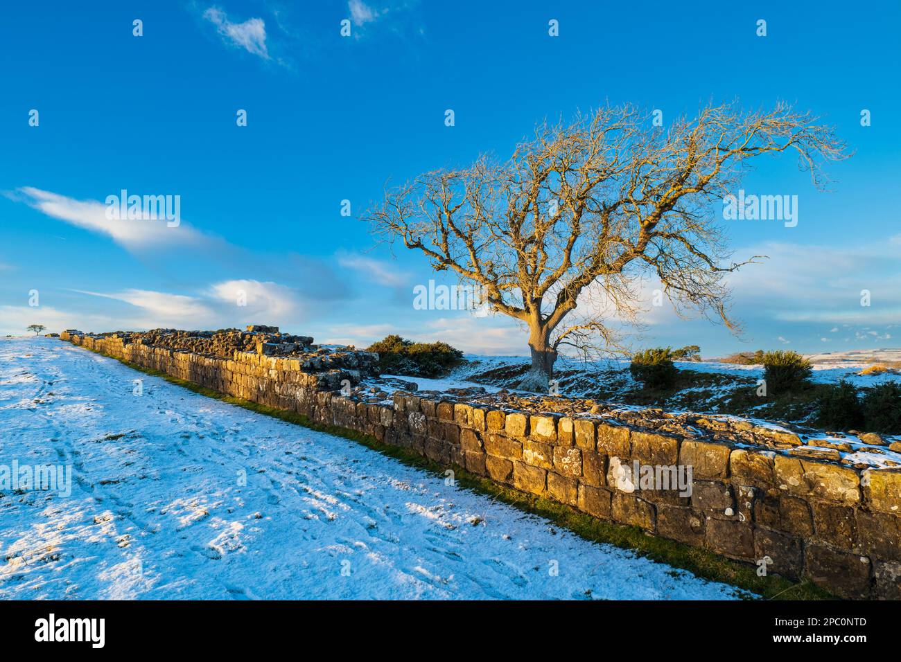 England, Northumberland National Park, Hadrian's Wall. A small stretch ...