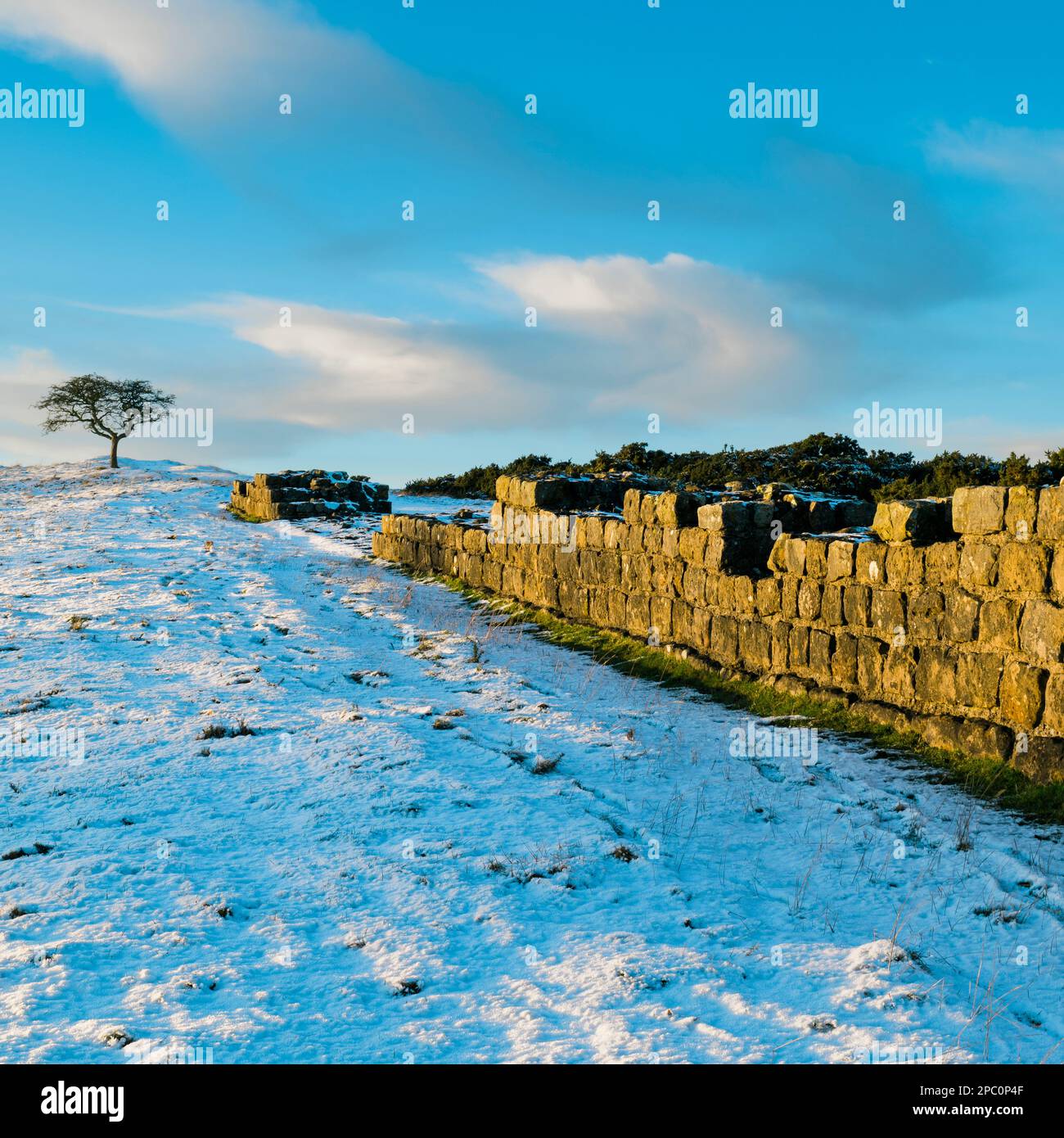 England, Northumberland National Park, Hadrian's Wall. A small stretch ...