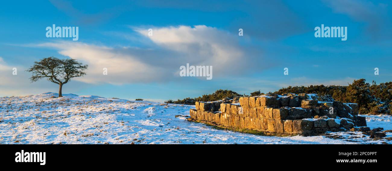 England, Northumberland National Park, Hadrian's Wall. A small stretch ...