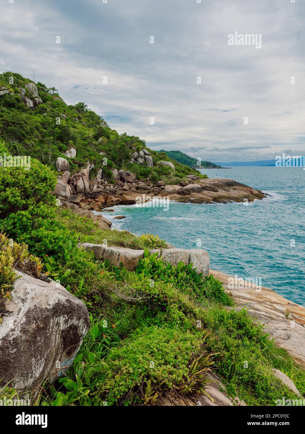 Tropical coastline with plants, amazing rocks and turquoise ocean in ...