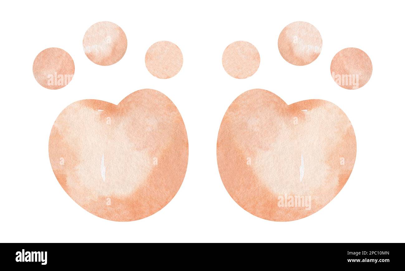 Animal tracks. Animal feet silhouette. Path for walking on the paws of ...