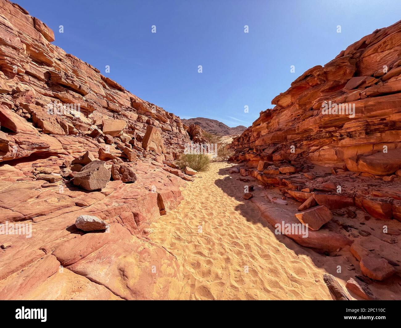 View of Red Salam Canyon in the Sinai desert, Egypt Stock Photo - Alamy
