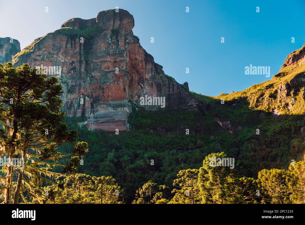 Canyon with trees and rocks with morning sun light in Urubici, Santa ...
