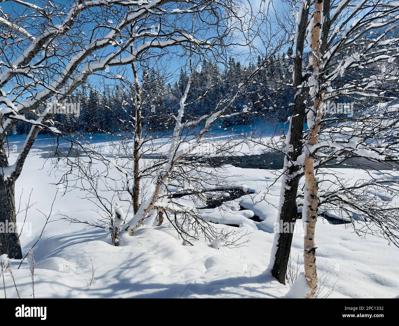 Winter landscape of north Sweden Stock Photo - Alamy
