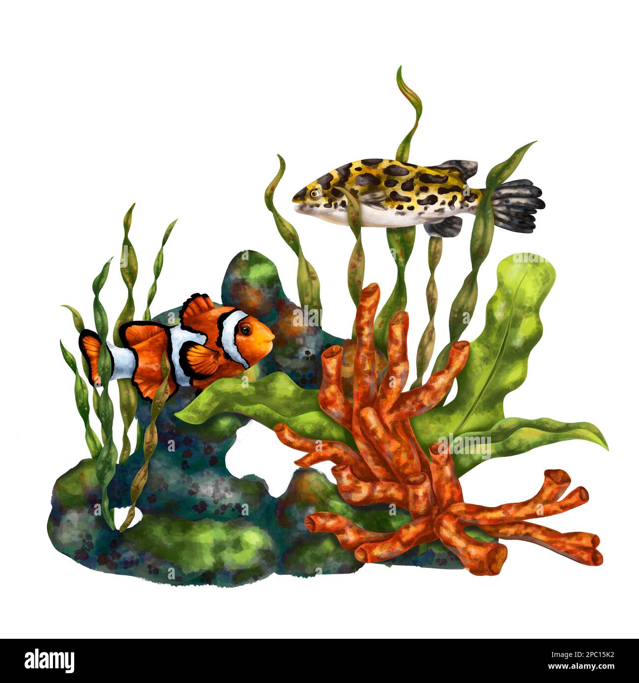 A bright composition with an underwater world. Red coral, seaweed ...