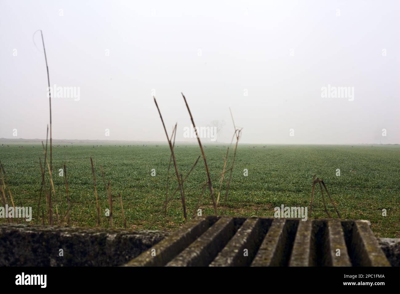 Concrete plank hi-res stock photography and images - Alamy
