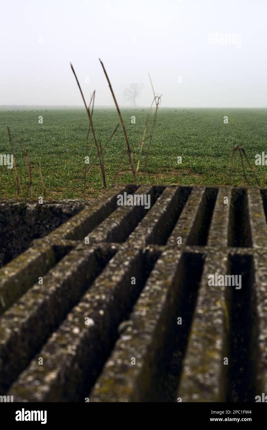 Concrete plank with a cultivated field on a foggy day in winter Stock ...