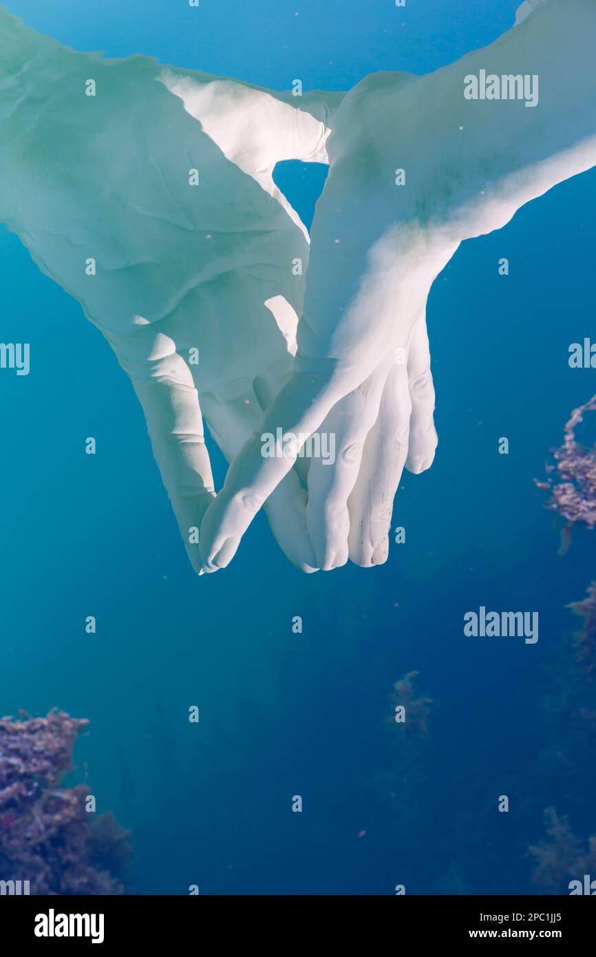 reflection of part of Building Bridges sculpture by artist Lorenzo ...