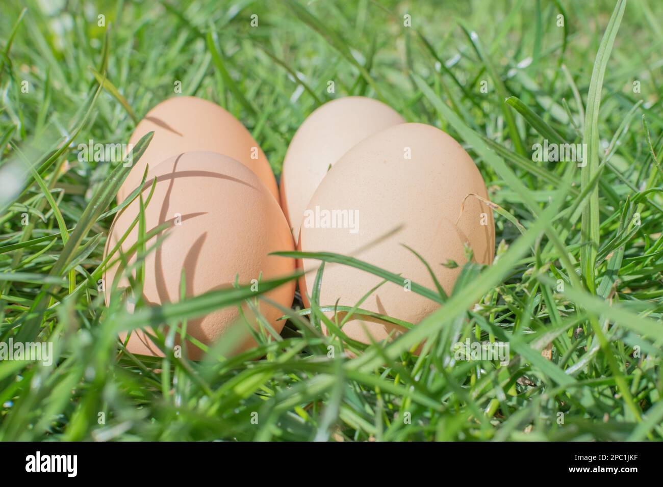 Bio day hi-res stock photography and images - Alamy