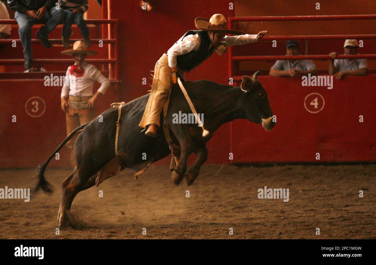 A Charro rides a bull during the 3rd State Charro Championship in ...