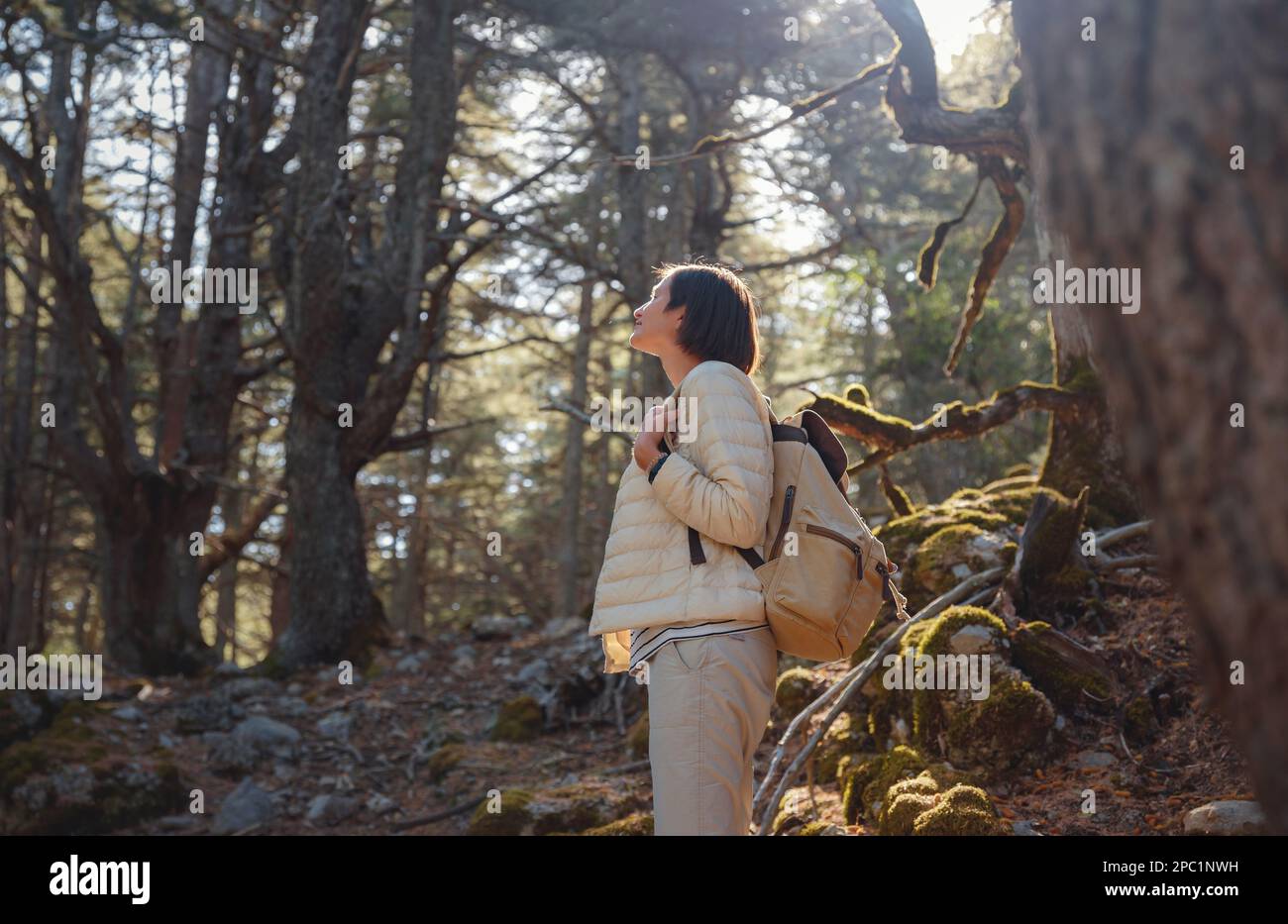 asian woman enjoys being in nature, beautiful forest in mountains ...