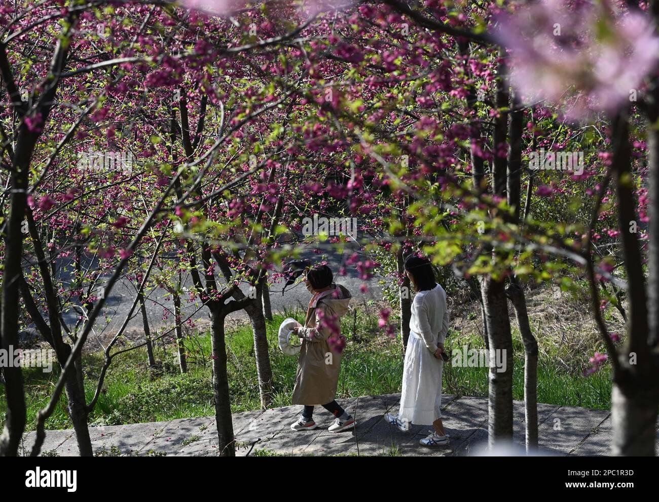 Hangzhou, China's Zhejiang Province. 13th Mar, 2023. Tourists walk past ...