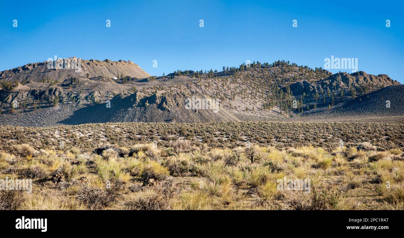 Mono-Inyo National Forest in California Stock Photo - Alamy