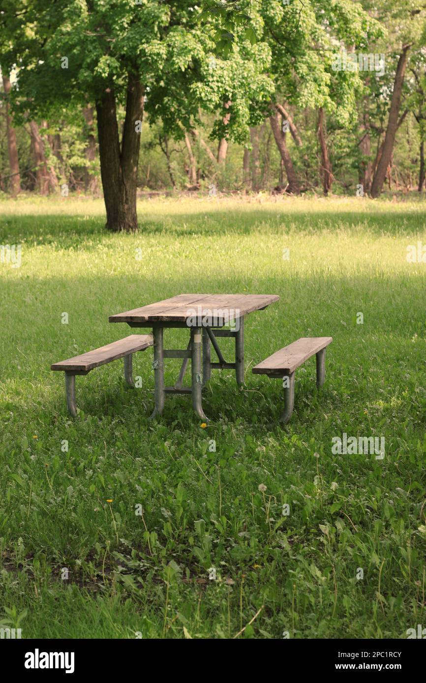 A typical and common picnic table standing empty in the middle of the ...