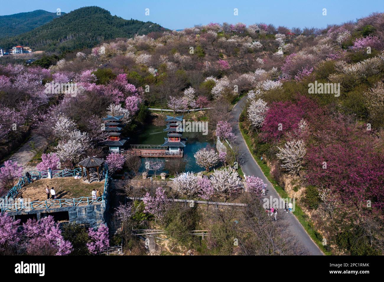Hangzhou. 13th Mar, 2023. This aerial photo taken on March 13, 2023 ...