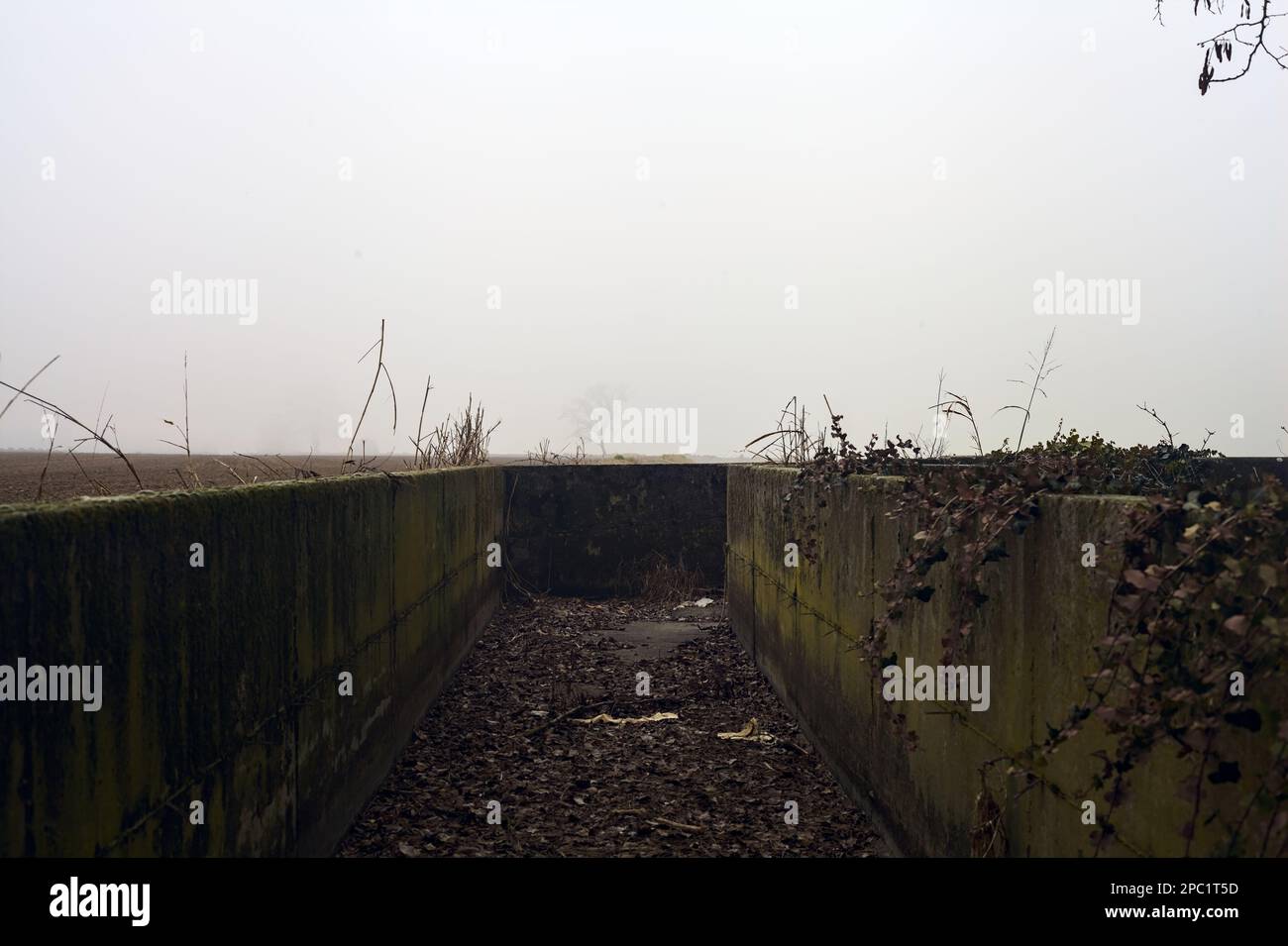 Dry irrigation channel and a stream of water between field on a foggy ...