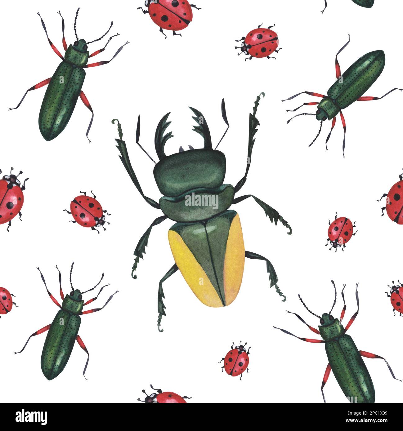 SSeamless pattern Realistic beetles insect isolated on white background ...