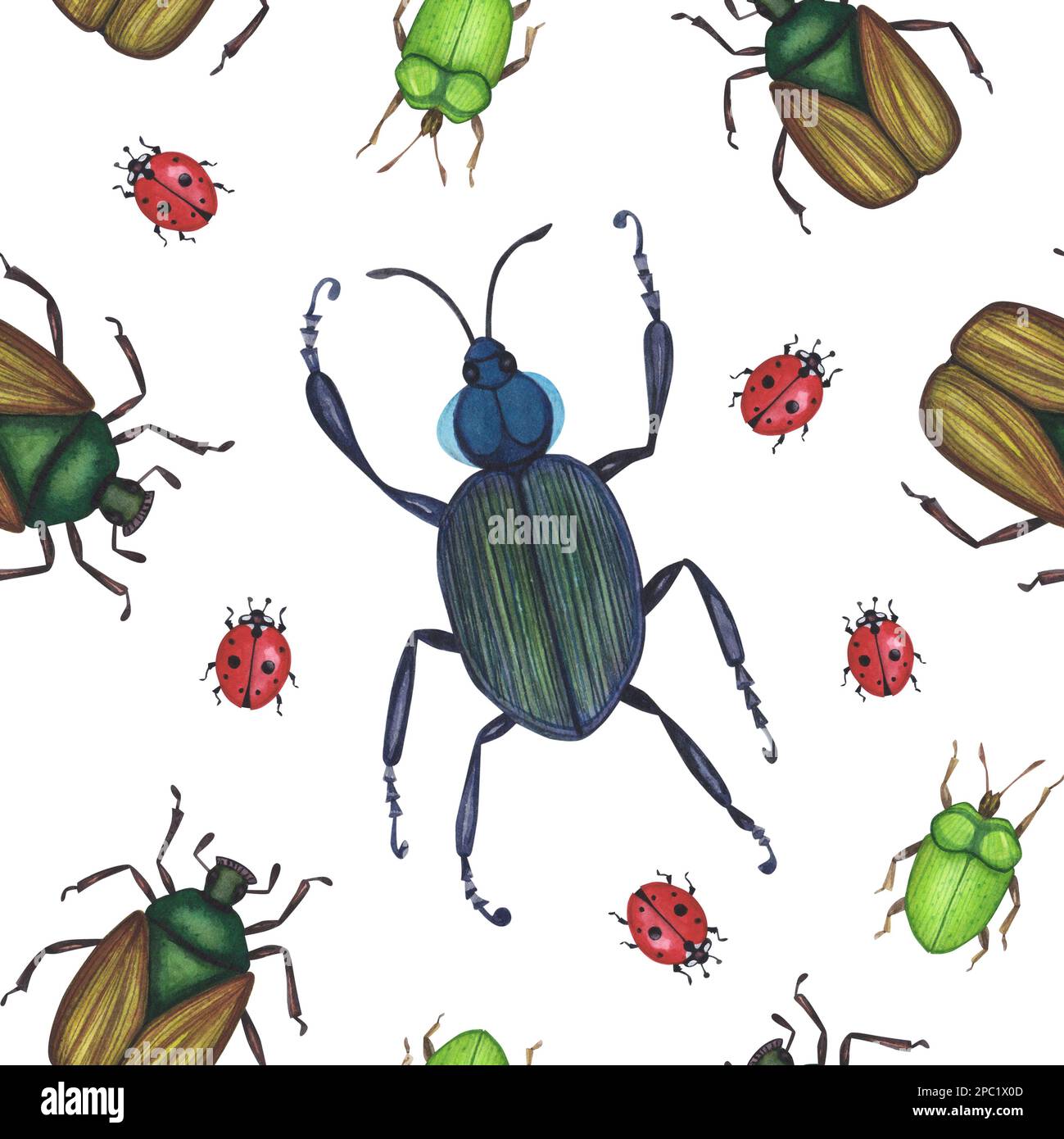 SSeamless pattern Realistic beetles insect isolated on white background ...